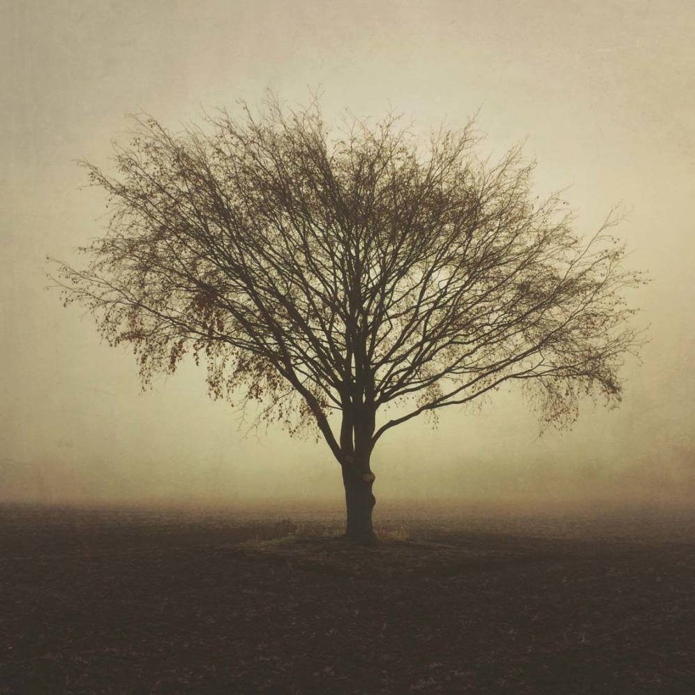 11 iPhone Photography Tips For Shooting Moody Landscapes