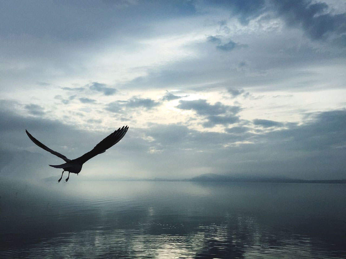 30 Breathtaking iPhone Landscape Photos