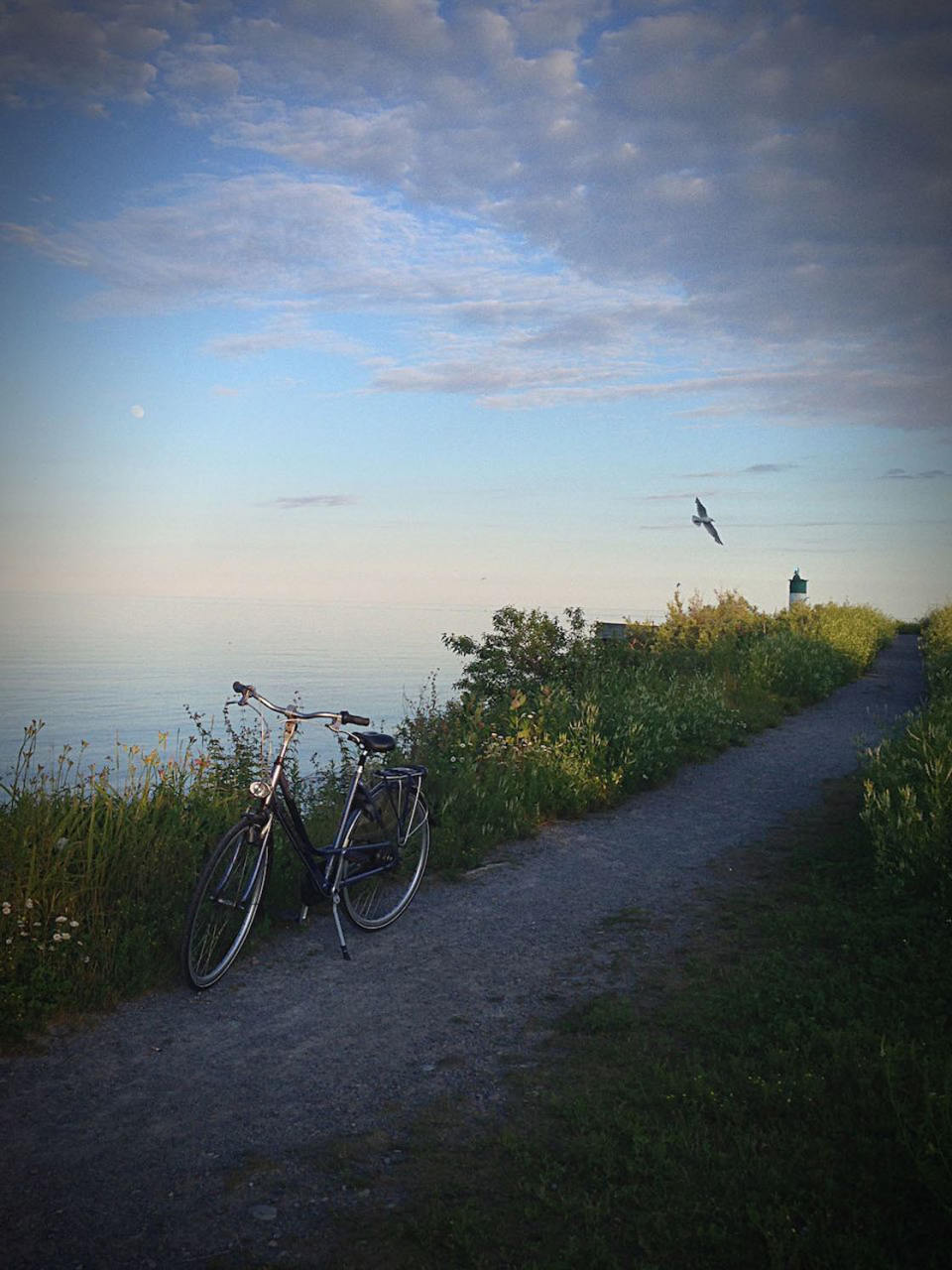 30 Breathtaking iPhone Landscape Photos