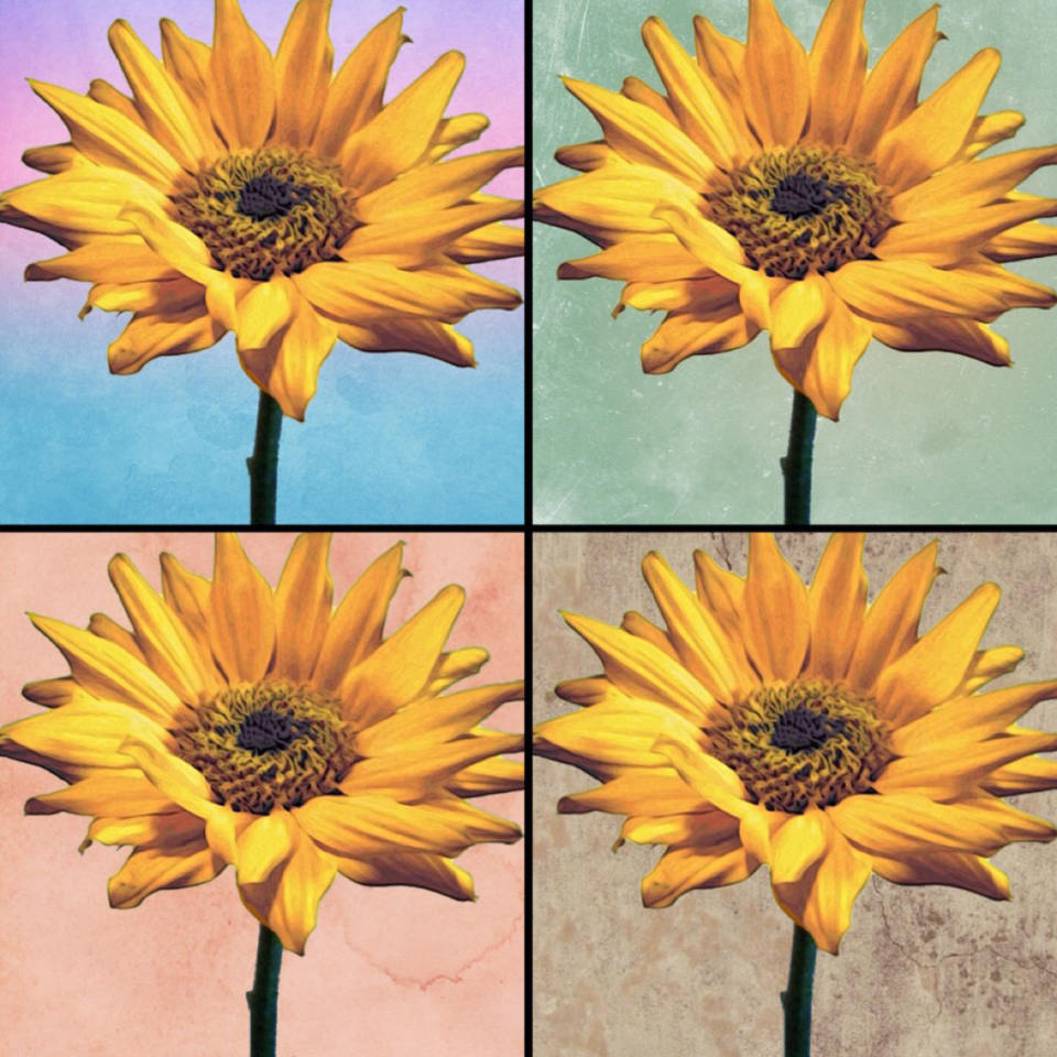 How To Add Textures To Enhance Your iPhone Photos