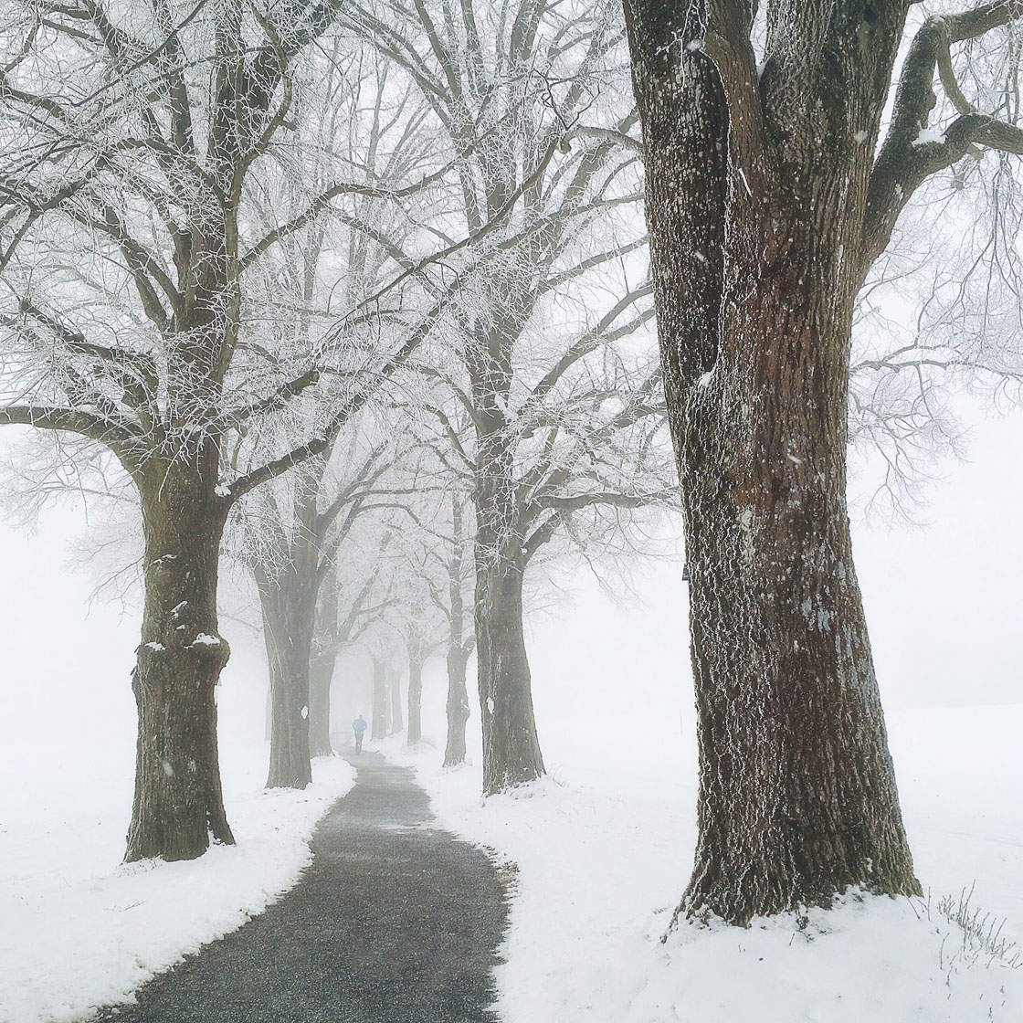 30 Wonderful iPhone Photos Of Winter Weather