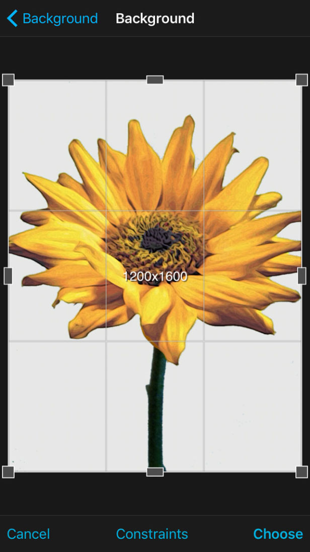 How To Add Textures To Enhance Your iPhone Photos