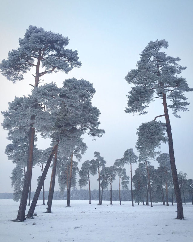 30 Wonderful iPhone Photos Of Winter Weather