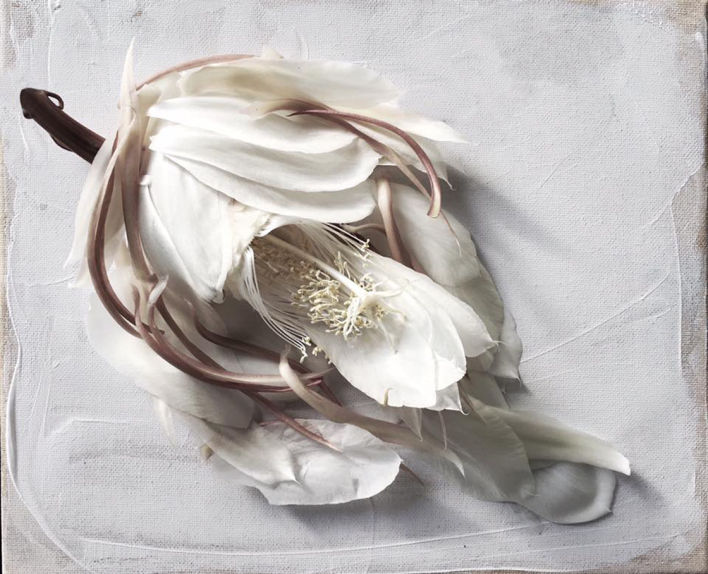 10 Ideas For Great Still Life Subjects For Your iPhone Photos