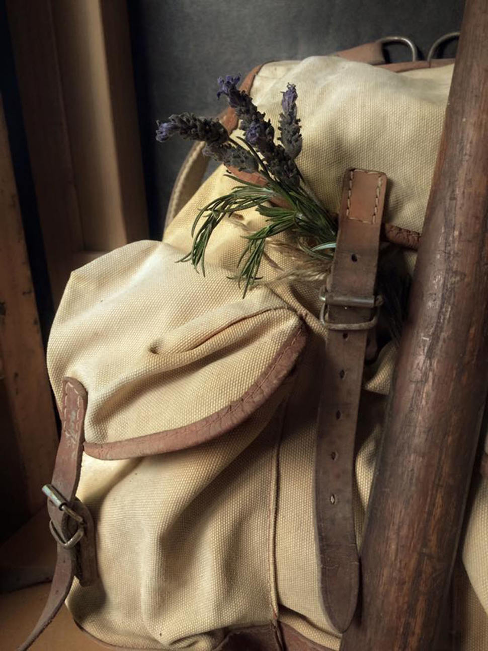 10 Ideas For Great Still Life Subjects For Your iPhone Photos