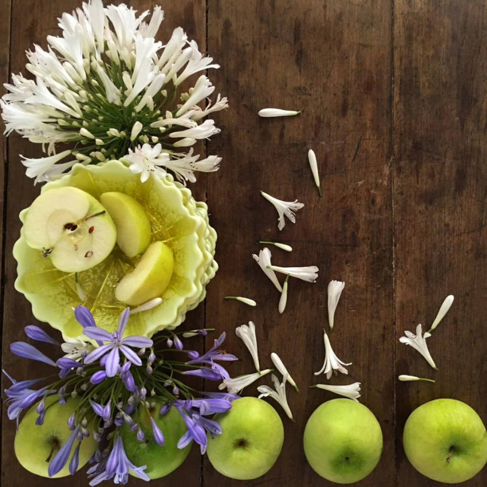 10 Still Life Composition Tips For Beginner iPhone Photographers