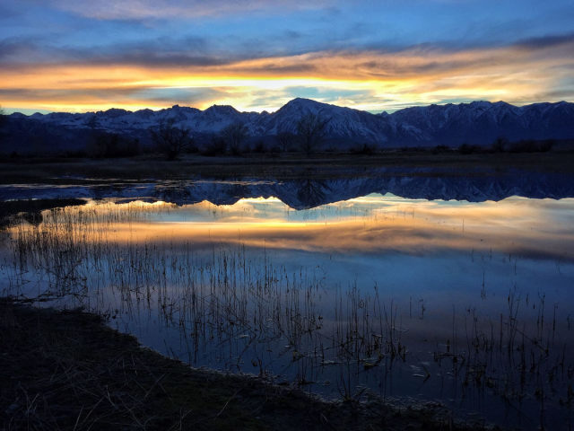 30 Stunning iPhone Photos Of Nature