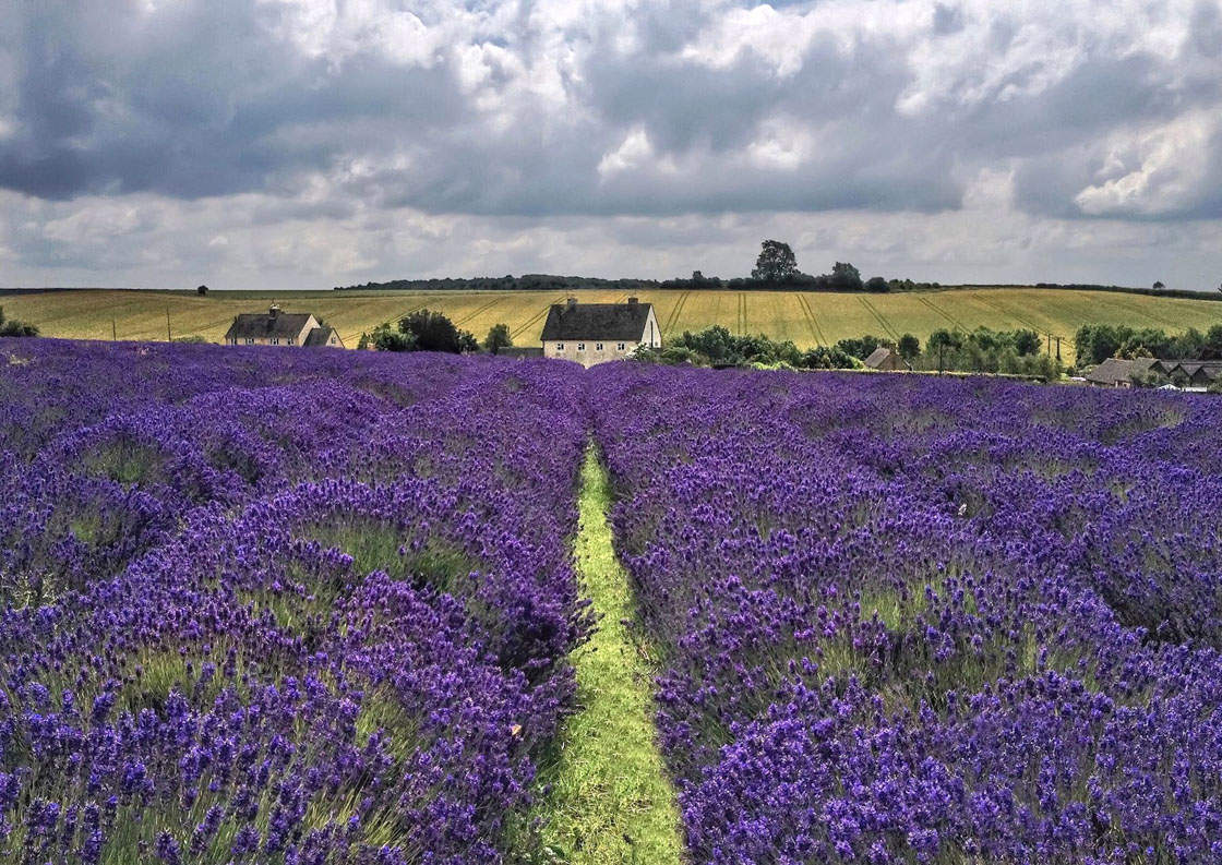 30 Stunning iPhone Photos Of Nature