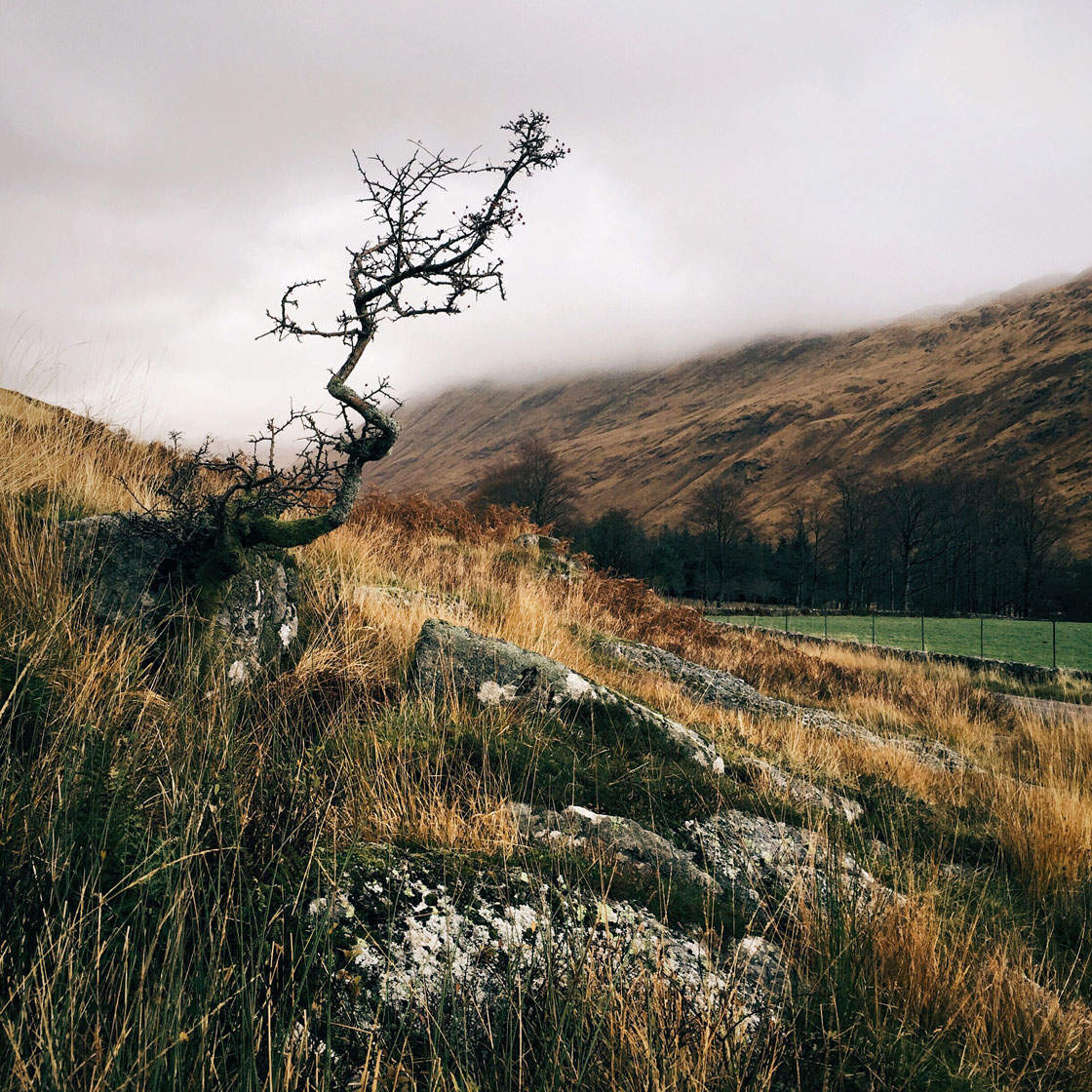 10 Composition Tips For Stunning iPhone Landscape Photos