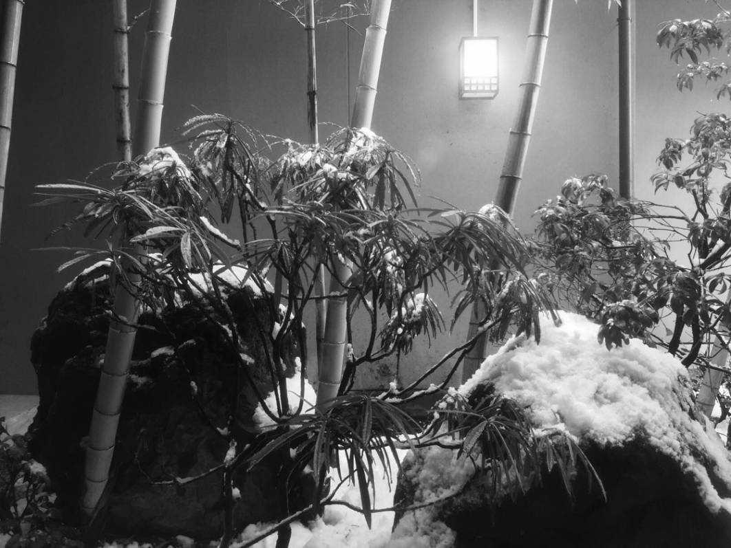 How To Use LensLight App To Add Fake Light To Your iPhone Photos