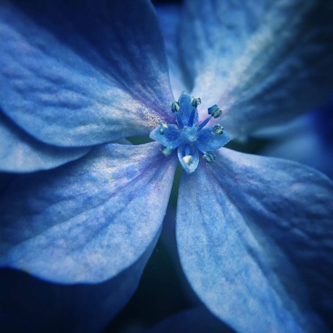 30 Incredible iPhone Photos With A Blue Color Scheme