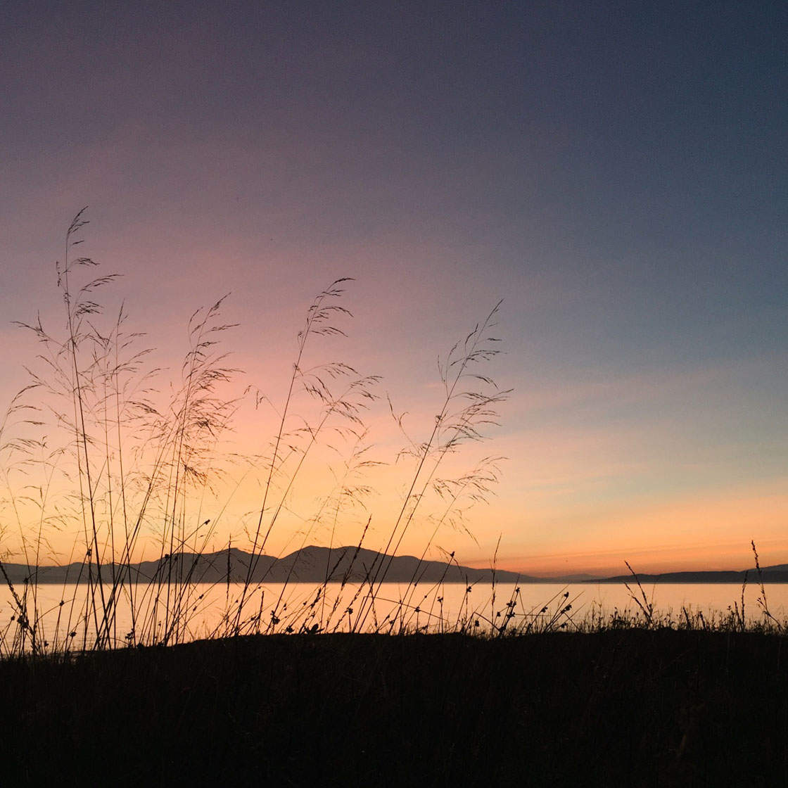 10 Composition Tips For Stunning iPhone Landscape Photos