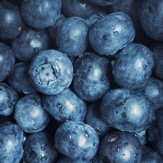 30 Incredible iPhone Photos With A Blue Color Scheme