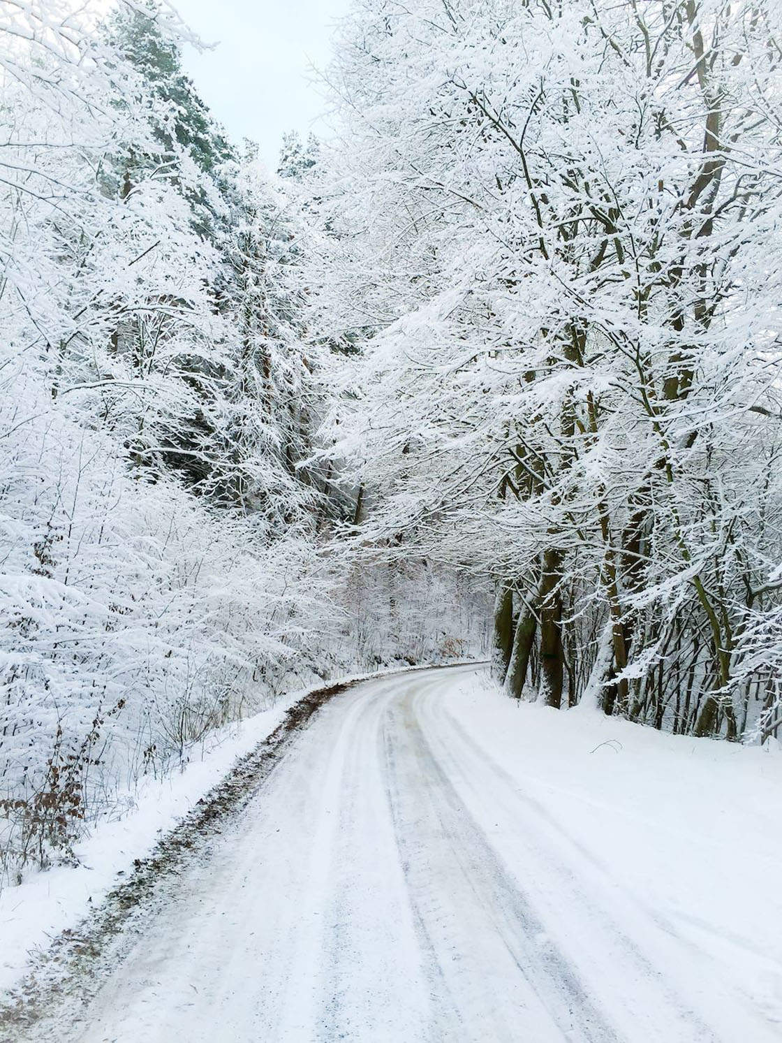 30 Wonderful iPhone Photos Of Winter Weather