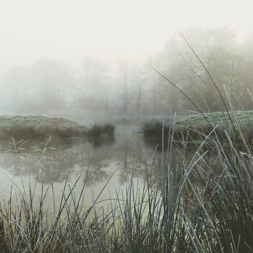 11 Tips For Shooting Magical iPhone Photos In Mist & Fog