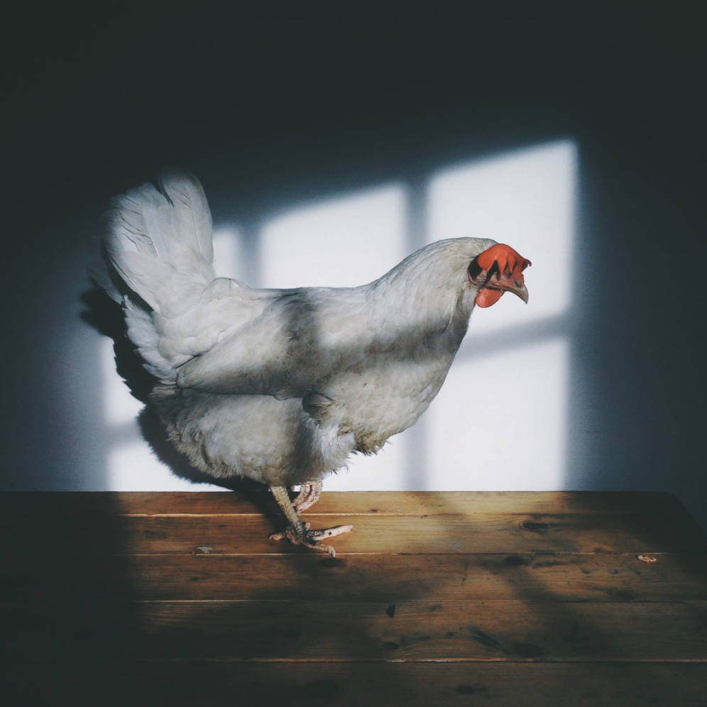 How Sara Tasker Takes Beautiful iPhone Photos