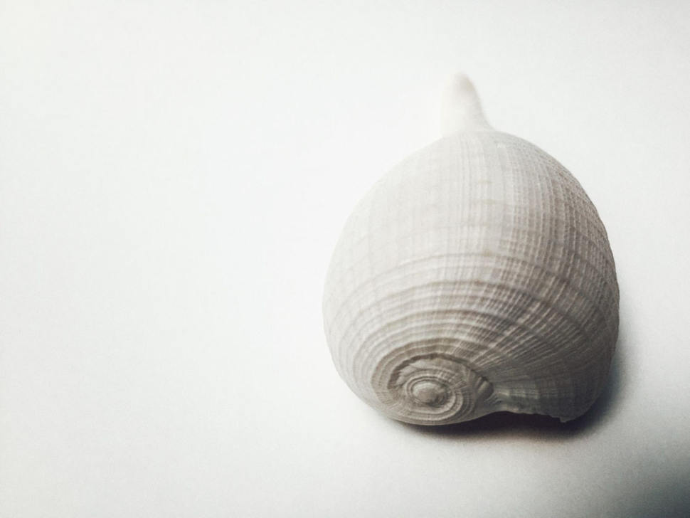 30 Beautiful iPhone Photos With A White Color Scheme