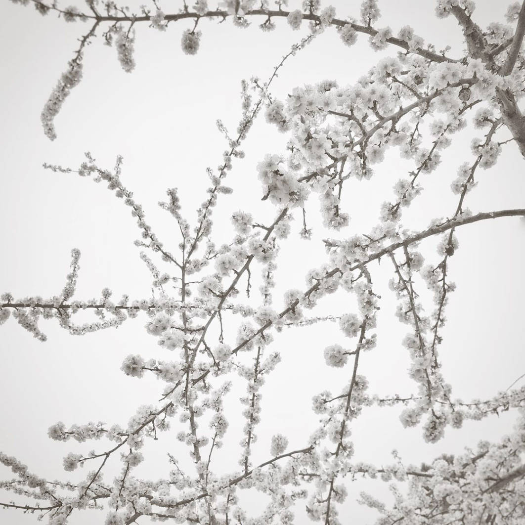 30 Beautiful iPhone Photos With A White Color Scheme