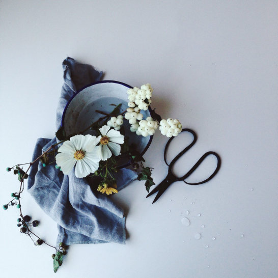 8 Still Life Iphone Photographers To Follow On Instagram