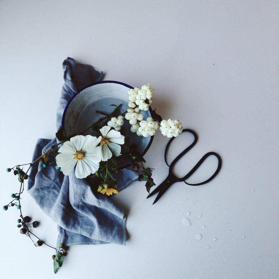 8 Still Life iPhone Photographers To Follow On Instagram