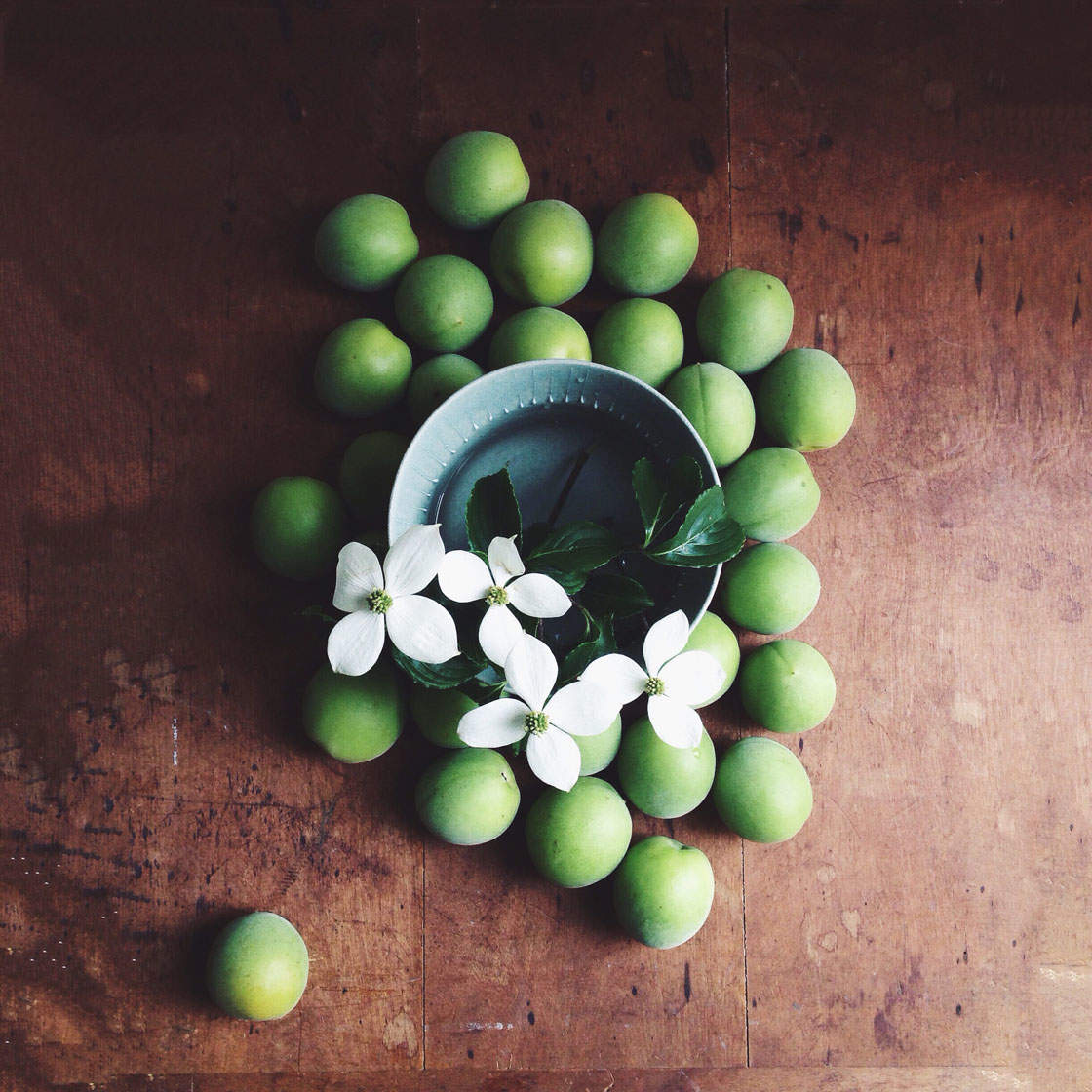 8 Still Life iPhone Photographers To Follow On Instagram