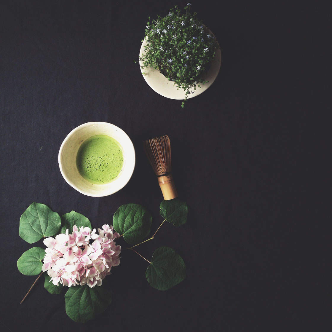 8 Still Life iPhone Photographers To Follow On Instagram