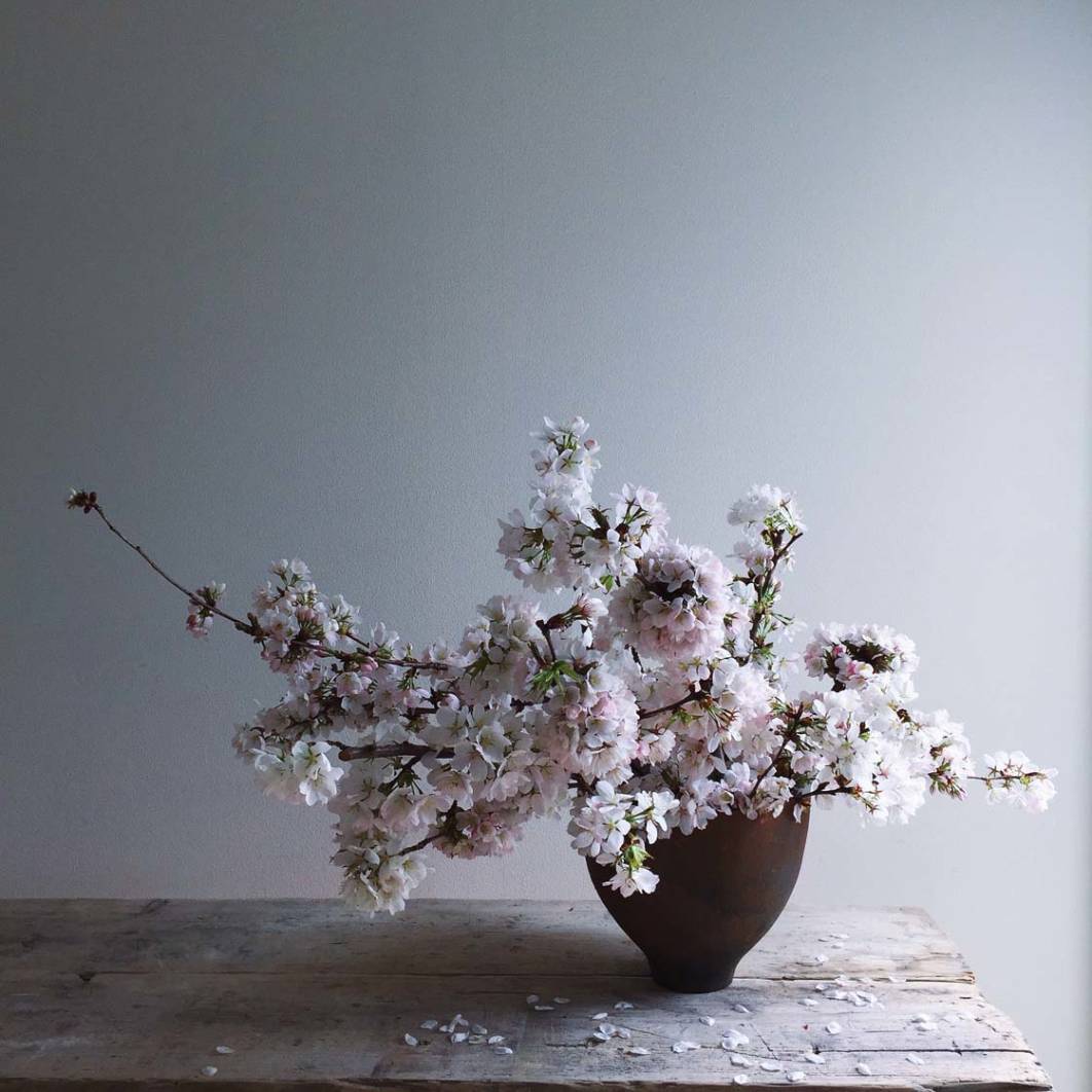 8 Still Life Iphone Photographers To Follow On Instagram