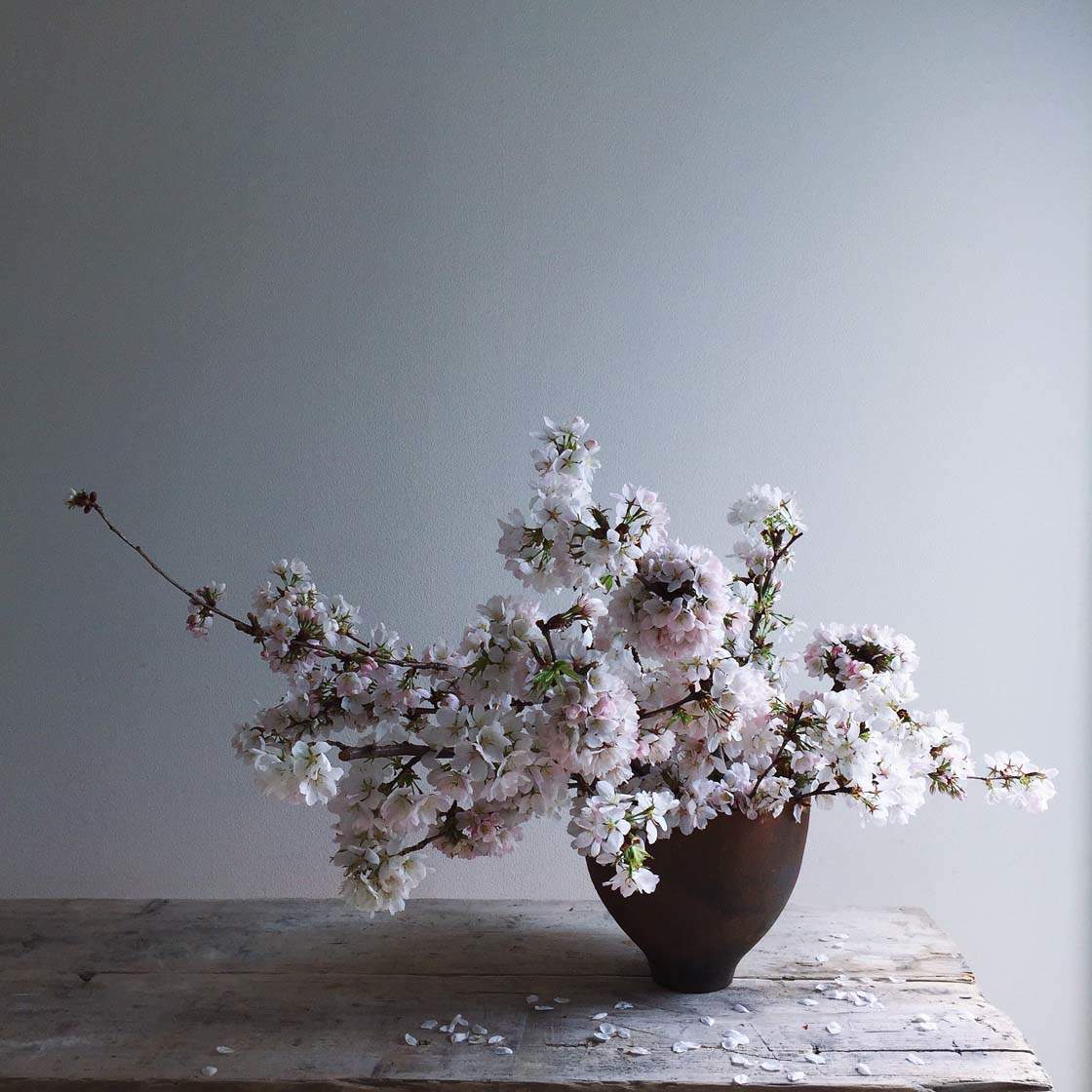 8 Still Life iPhone Photographers To Follow On Instagram