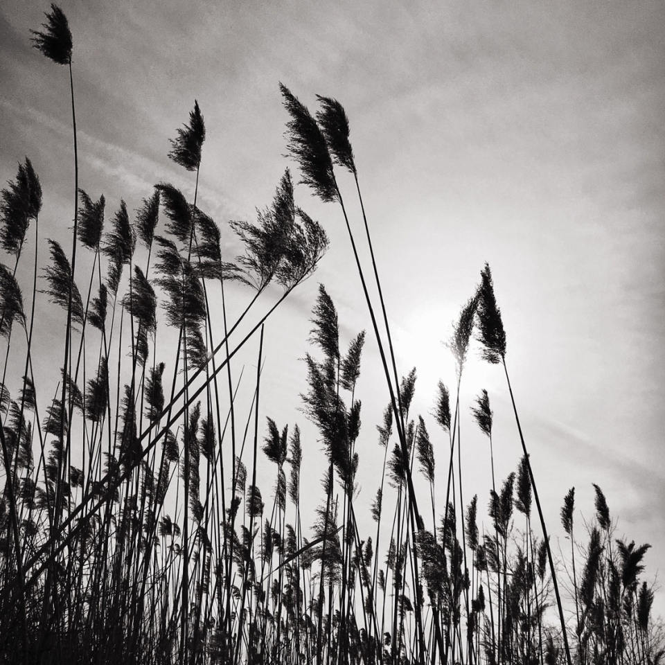 30 Incredible Black & White iPhone Photos
