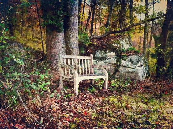 6 Ways To Create Mood And Atmosphere In Your iPhone Photos