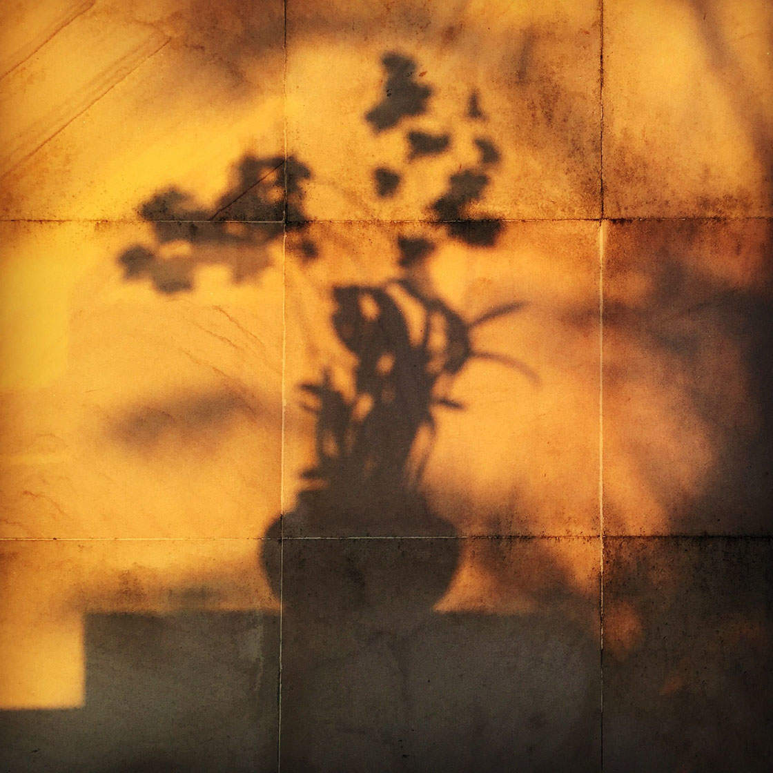 30 Beautiful Warm-Colored iPhone Photos