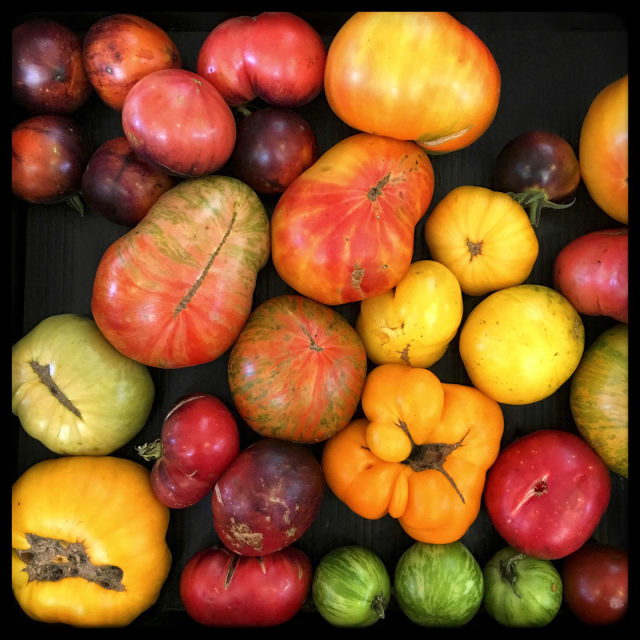 30 Beautiful Warm-Colored iPhone Photos