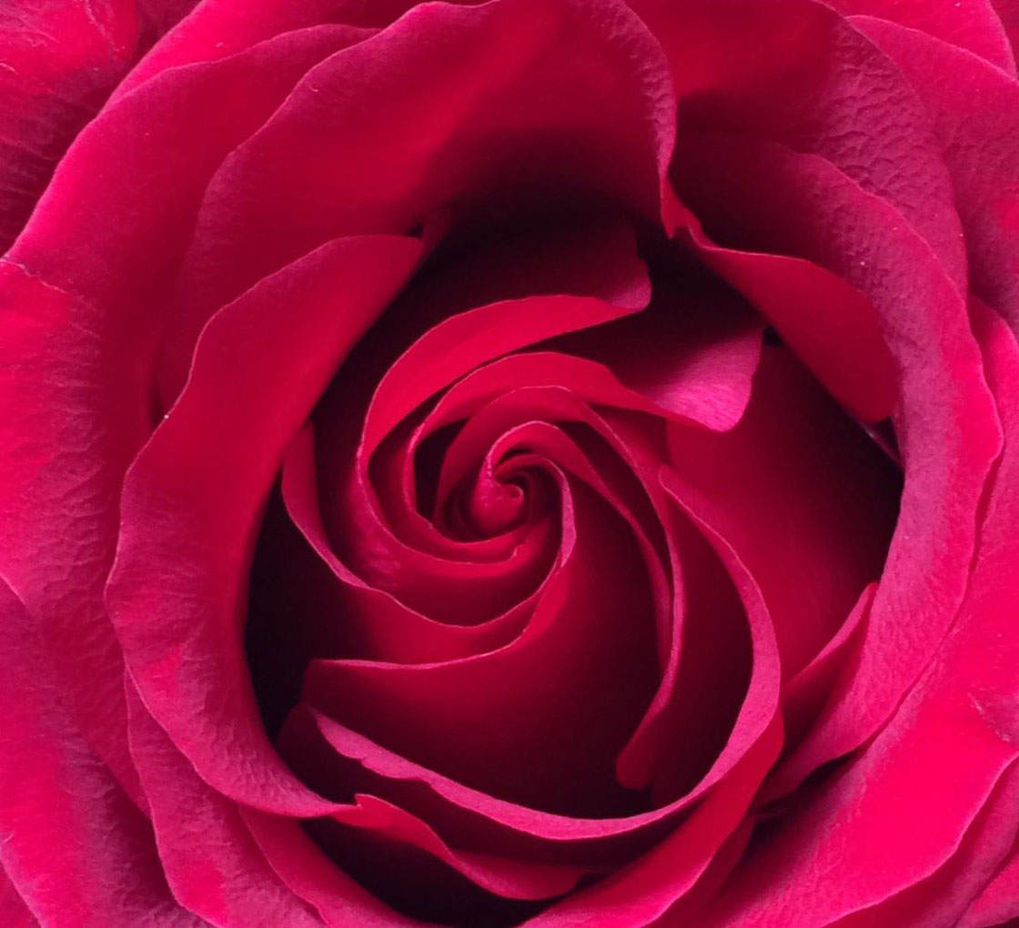 30 Beautiful Warm-Colored iPhone Photos