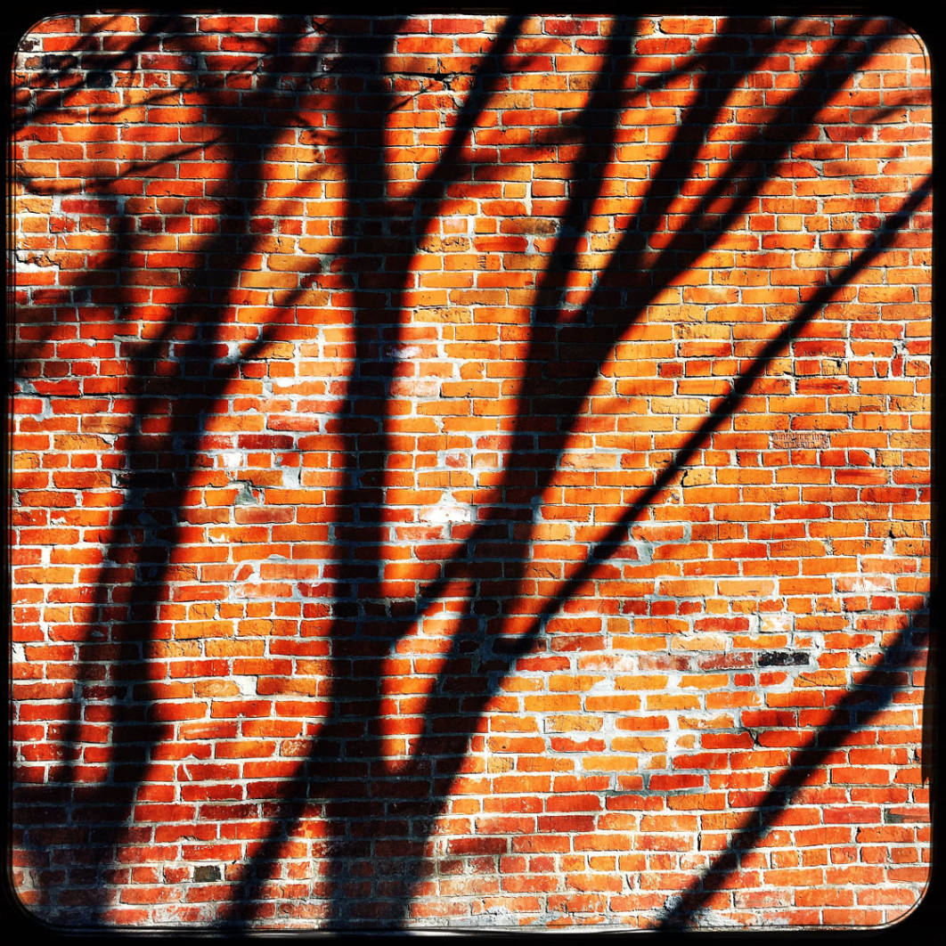 30 Beautiful Warm-Colored iPhone Photos