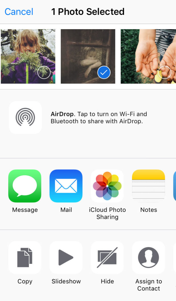 How To Create An iPhone Photo Backup To Store & Share Your Images