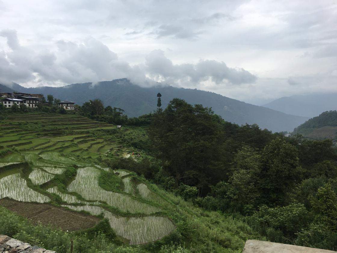 30 Enchanting iPhone Photos of Rural Scenes