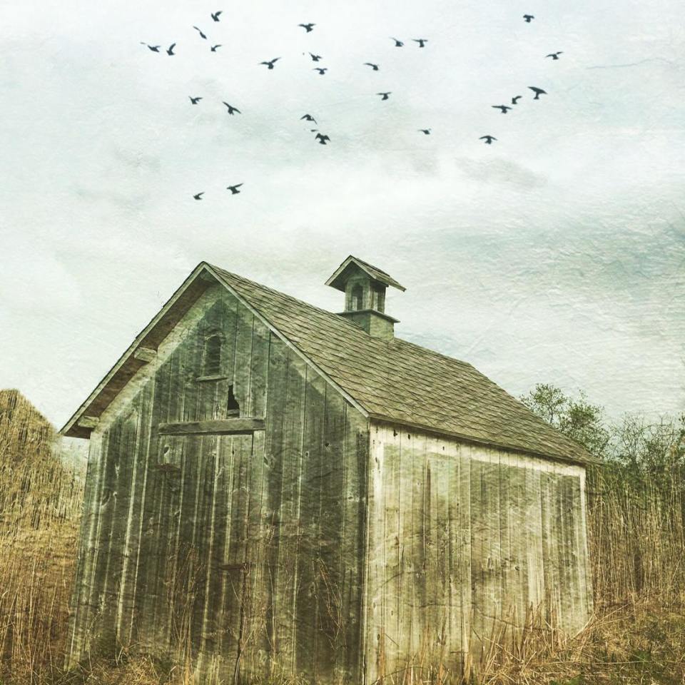 30 Enchanting iPhone Photos of Rural Scenes