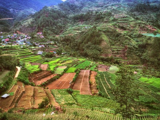30 Enchanting iPhone Photos of Rural Scenes
