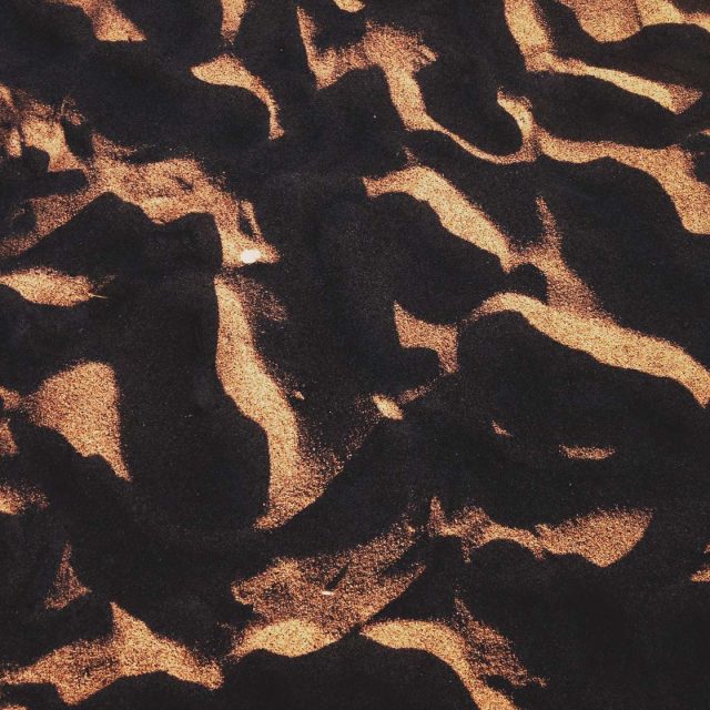 Take Interesting iPhone Photos By Capturing Small Details