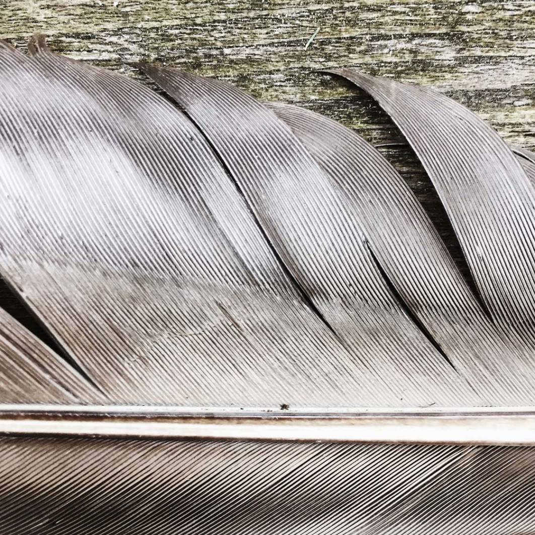 Take Interesting iPhone Photos By Capturing Small Details