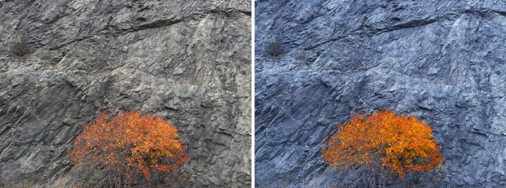 7 iPhone Photo Editing Tricks To Enhance Your Images