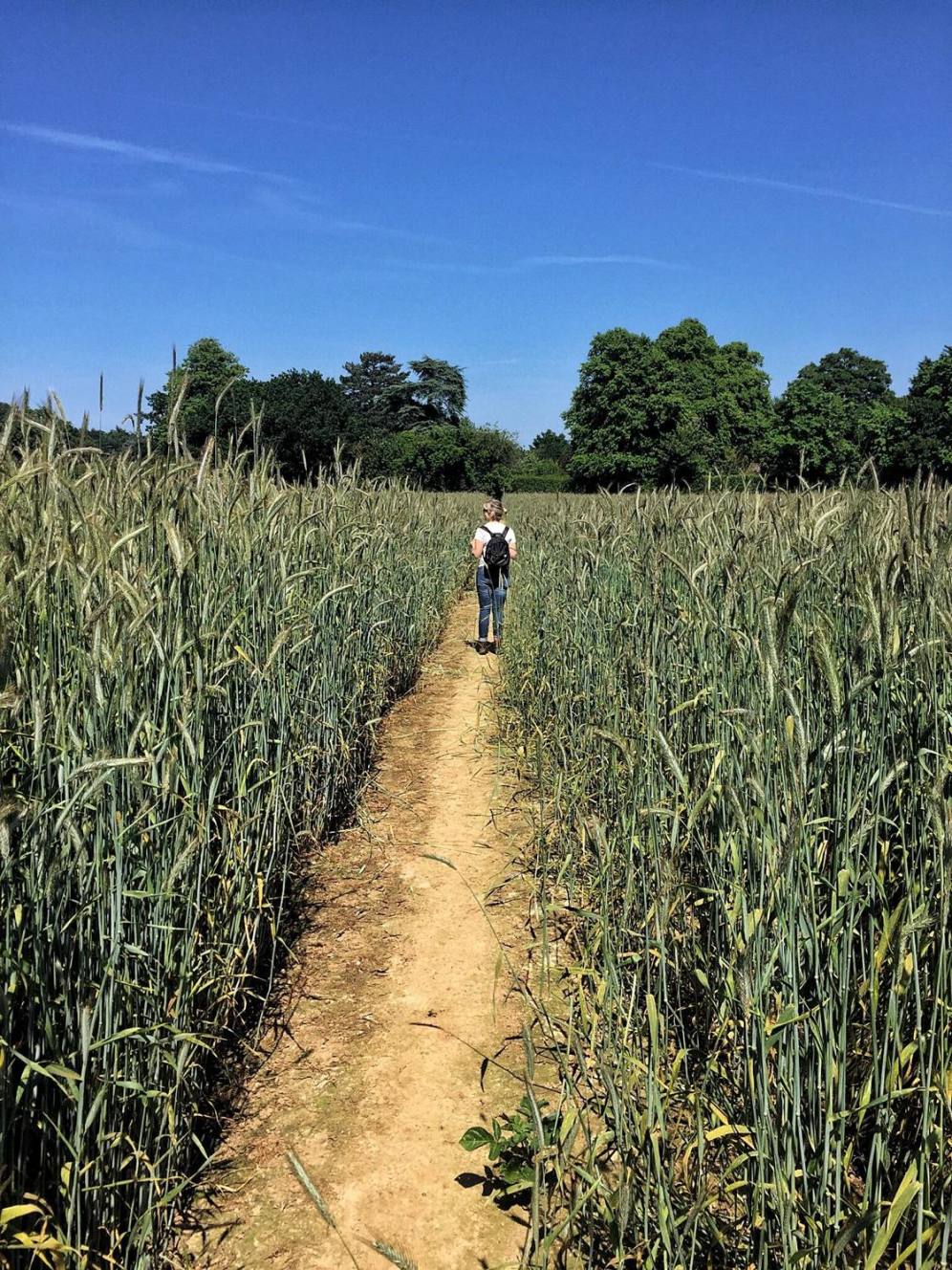 30 Enchanting iPhone Photos of Rural Scenes