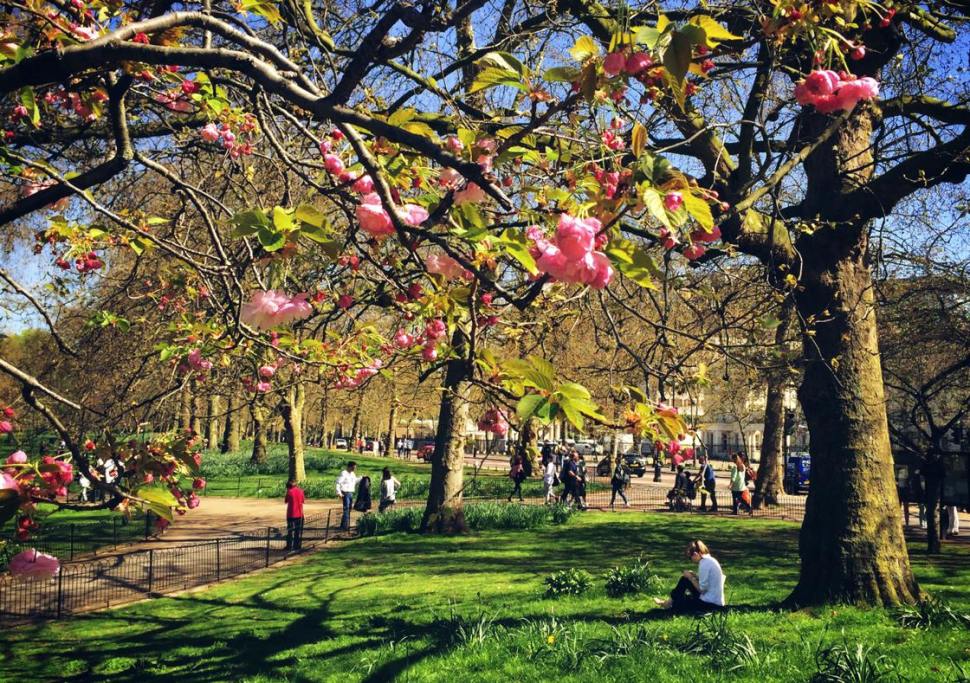 5 Composition Tips For Taking Amazing iPhone Photos