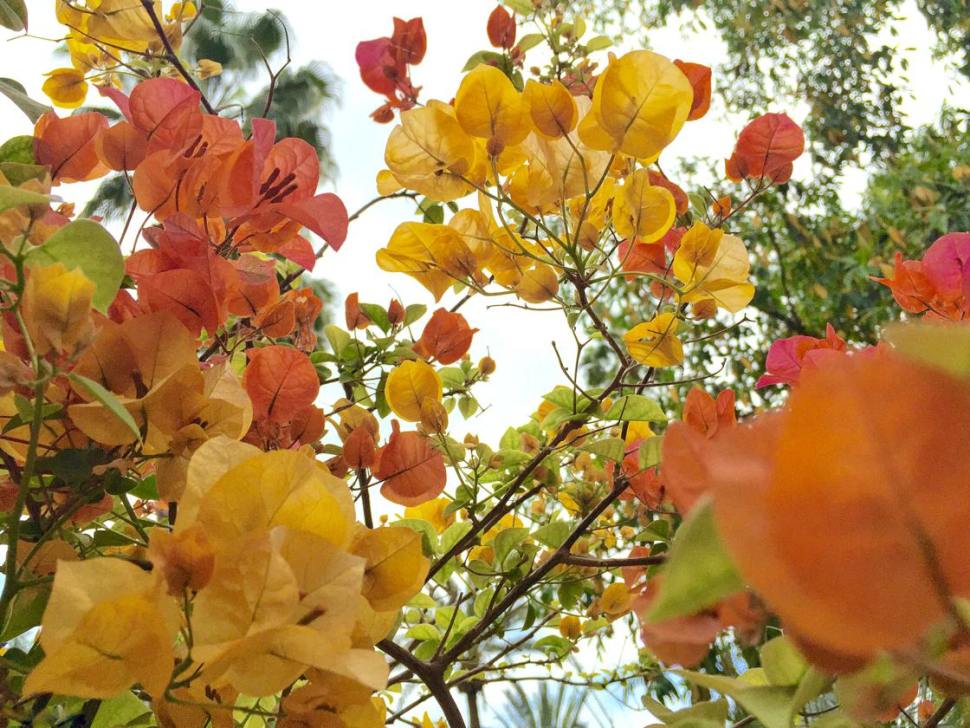 5 Composition Tips For Taking Amazing iPhone Photos