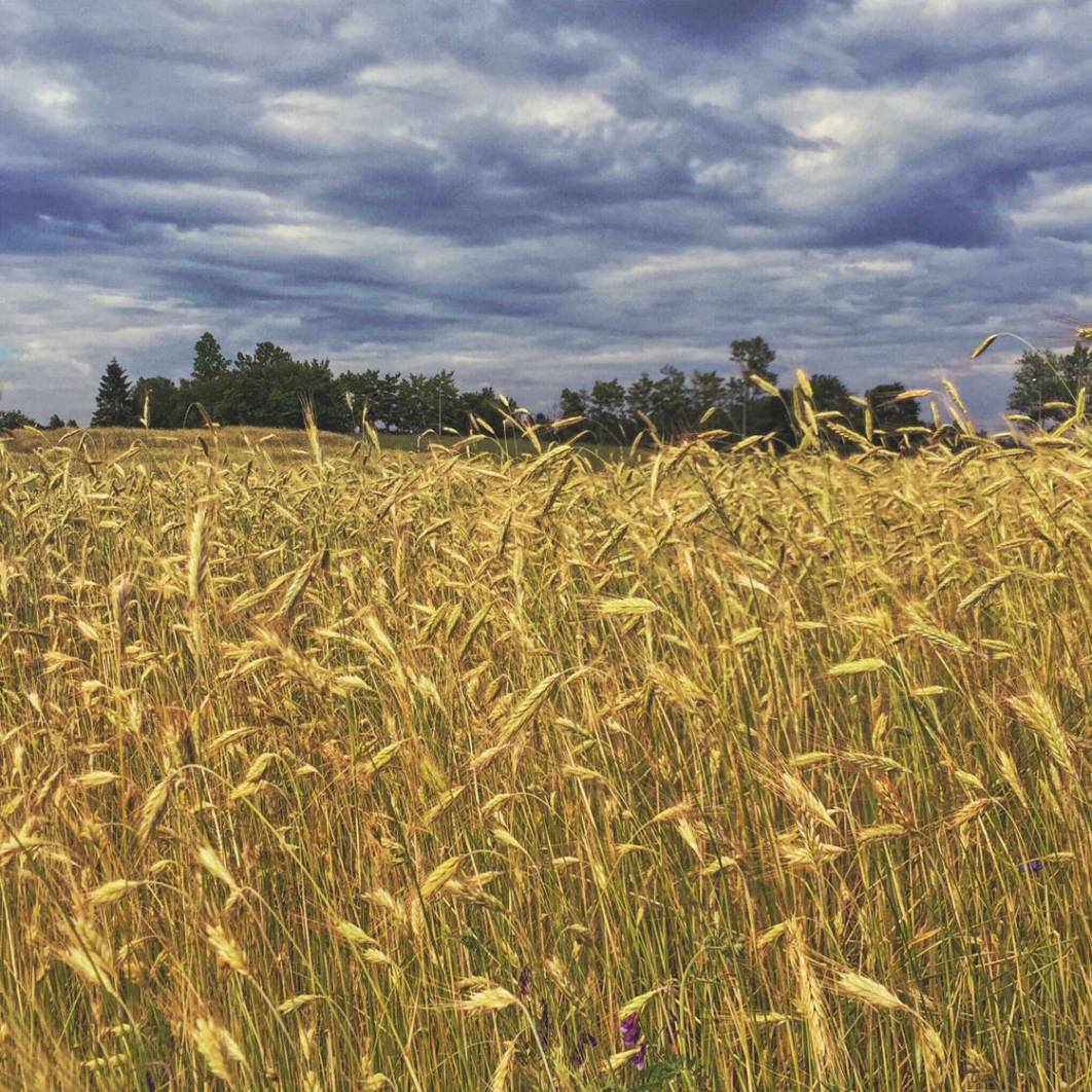 30 Wonderful iPhone Images Of Summer