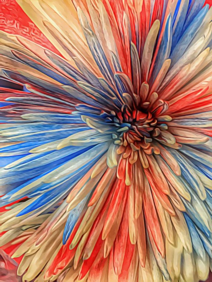 30 Glorious iPhone Photos Of Flowers