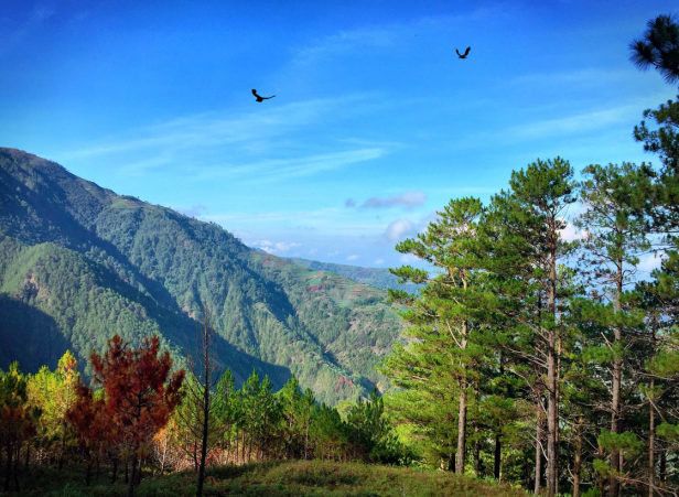 30 Wonderful iPhone Images Of Summer