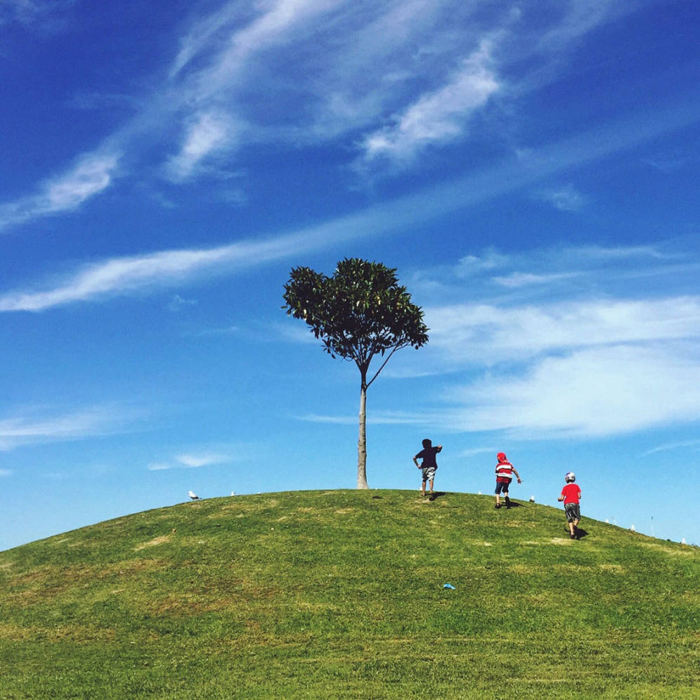 30 Wonderful iPhone Images Of Summer