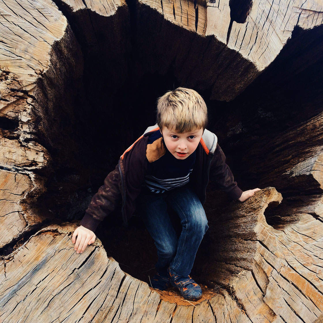 How To Use Instagram Photo Editing Tools To Create Beautiful Images