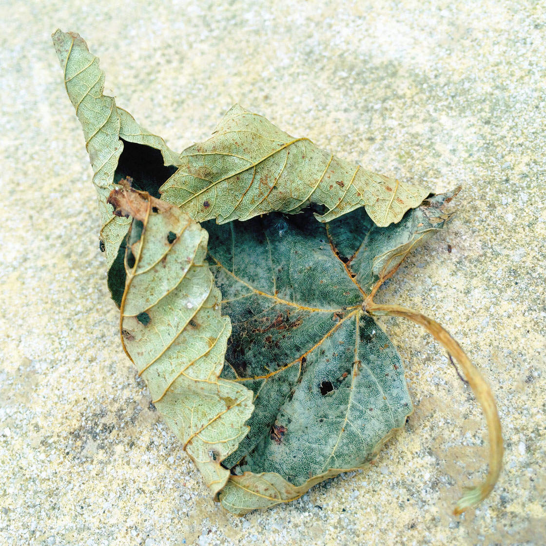 How To Use Instagram Photo Editing Tools To Create Beautiful Images